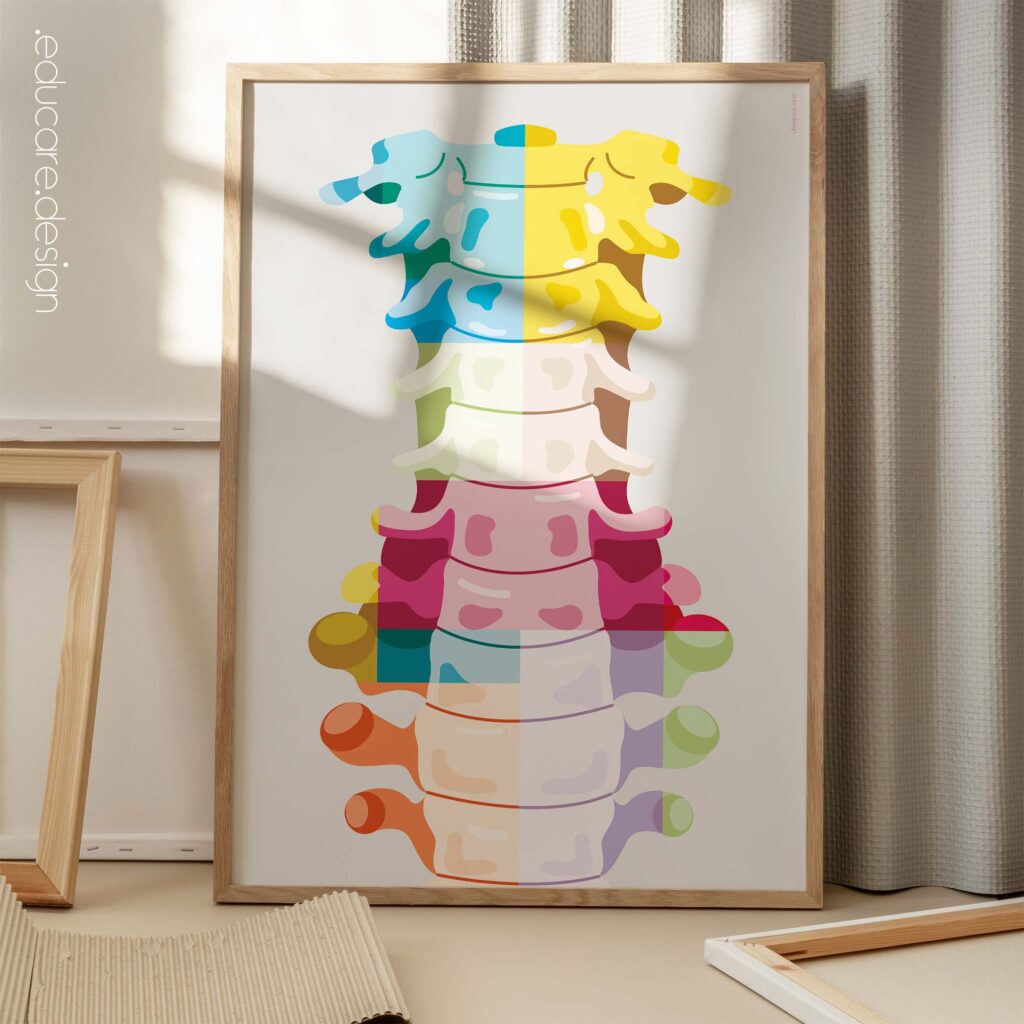 Cervical Anatomy Pop Art » educare.design