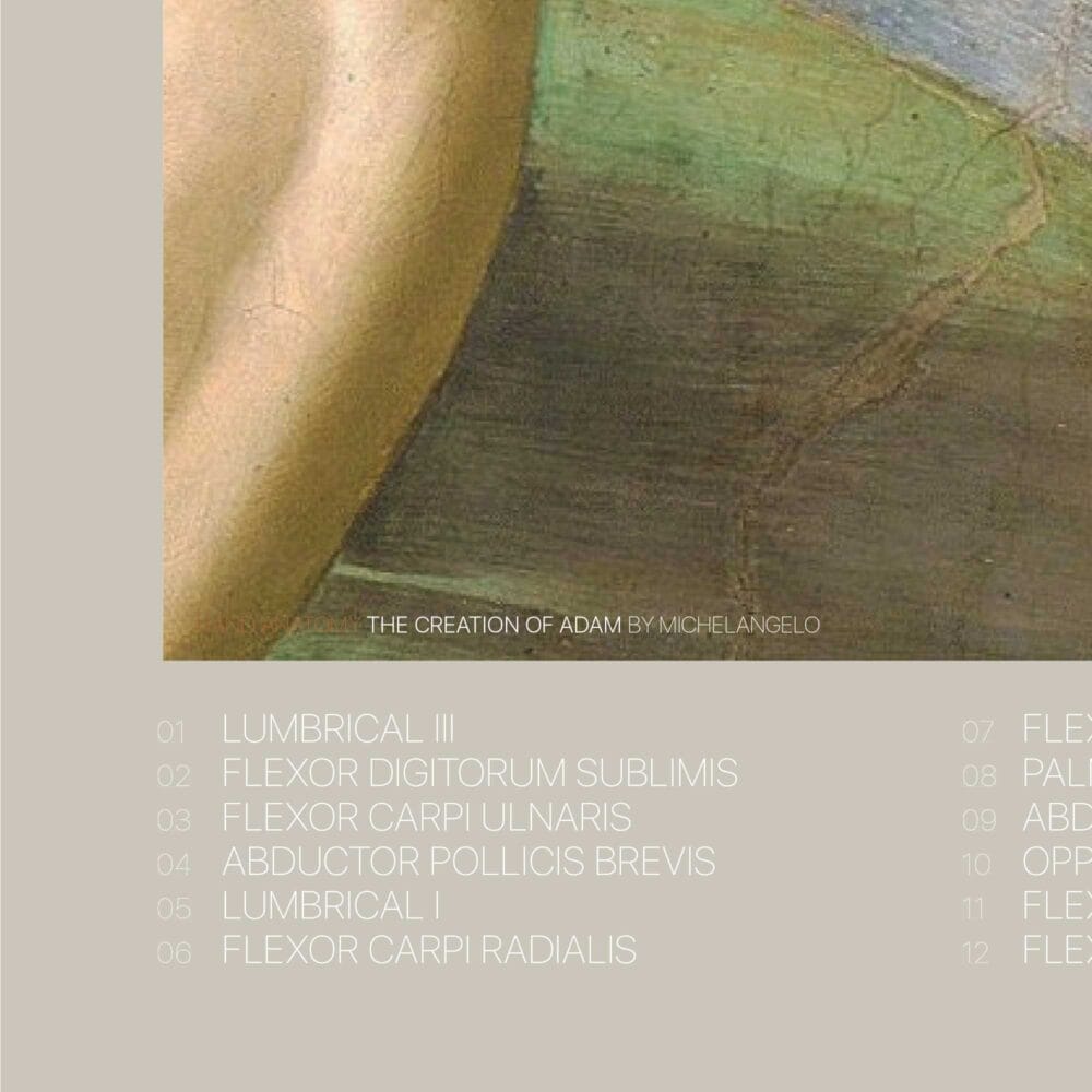 Creation of Adam & Hand Anatomy » educare.design