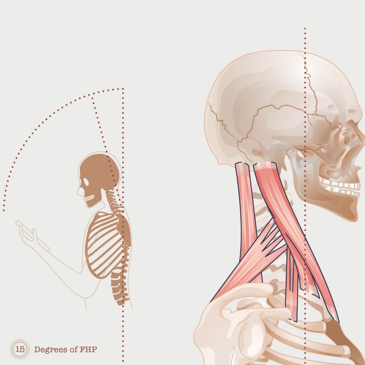 The Forward Head Posture Artwork » educare.design