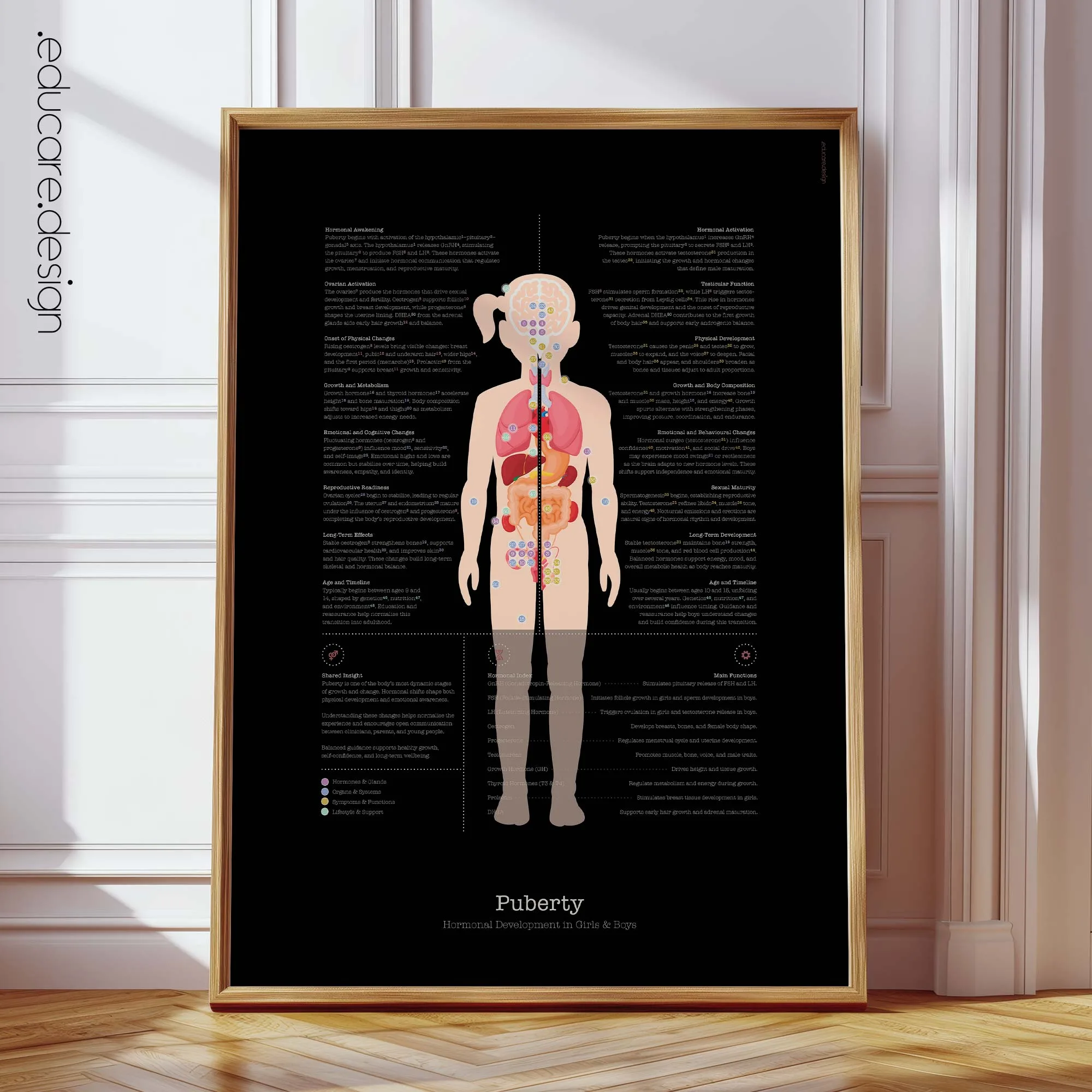 Puberty Anatomy Chart Educare Design